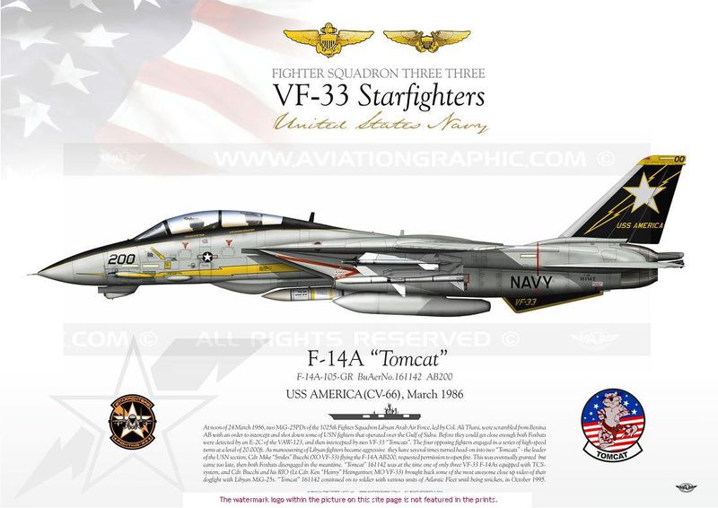 VF-33 "Starfighters" 中隊 F-14 : (31p) - 軍事貼圖影片 - Uwants.com
