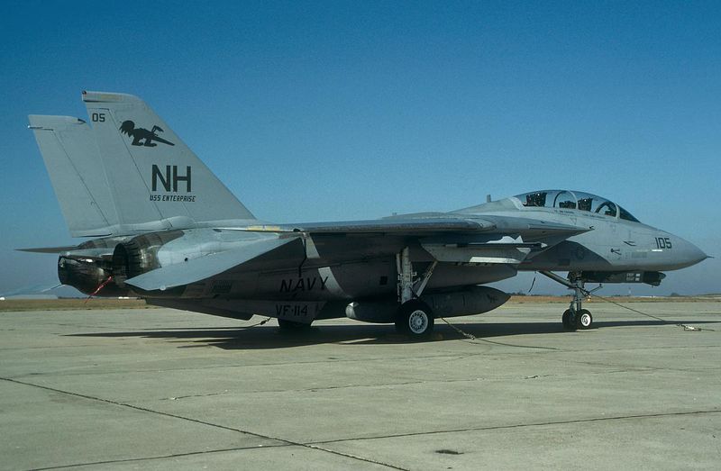 VF-114 "Aardvarks" 中隊 F-14 : (40P) - 軍事貼圖影片 - Uwants.com