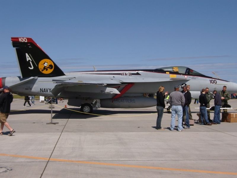 VFA-31 "Tomcatters" 中隊 F/A-18E : (36p) - 軍事貼圖影片 - Uwants.com