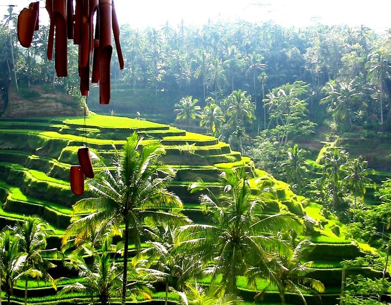 印尼：熱情洋溢，島嶼萬千 - 世界文化風俗 - Uwants.com