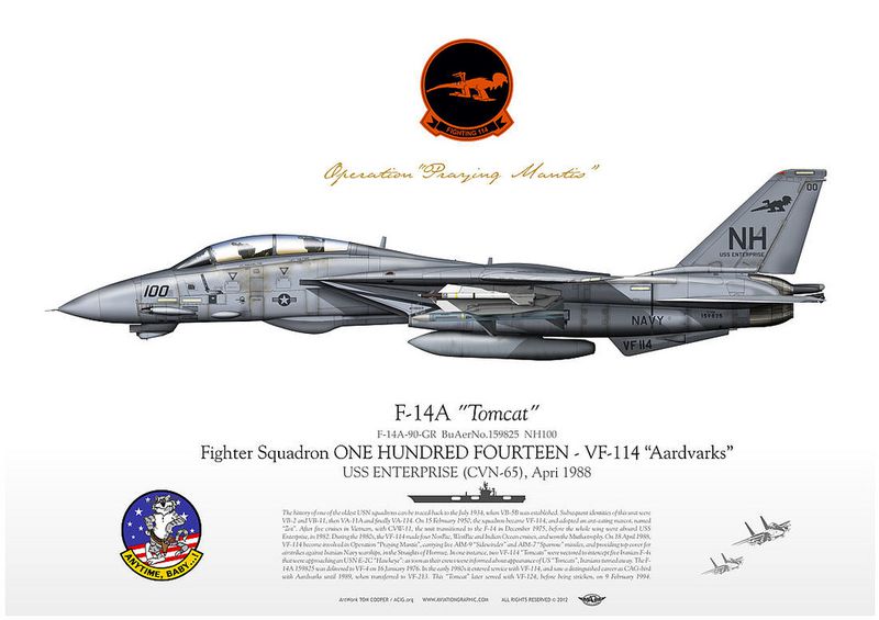 VF-114 "Aardvarks" 中隊 F-14 : (40P) - 軍事貼圖影片 - Uwants.com